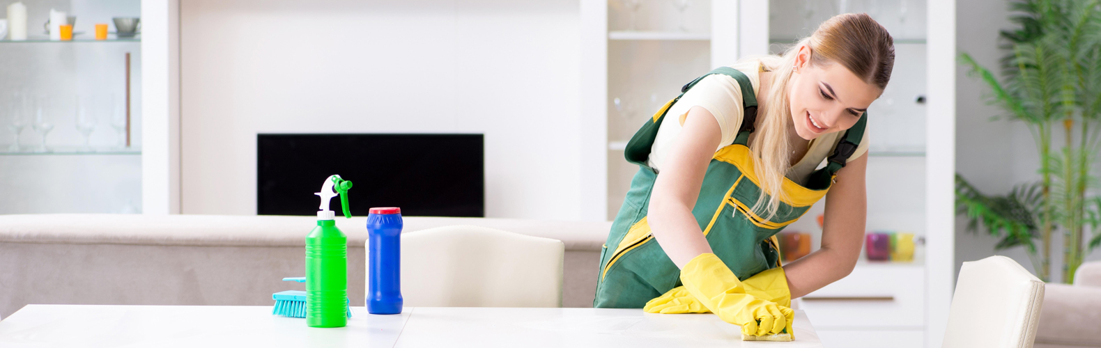 Maid Sailors - Dominant Digitally - Digital Marketing Agency